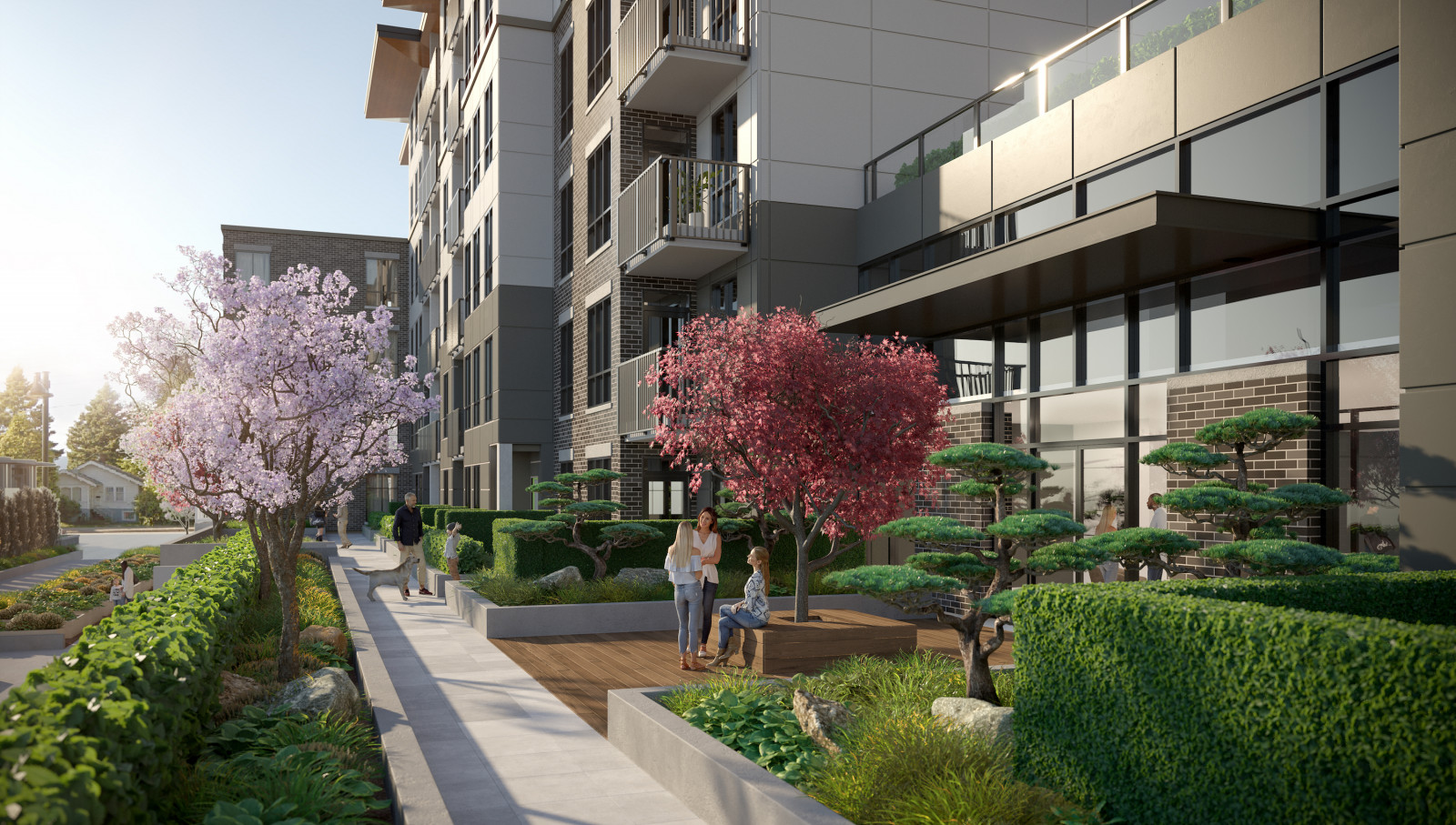 Understanding the New Burquitlam | MLA Canada