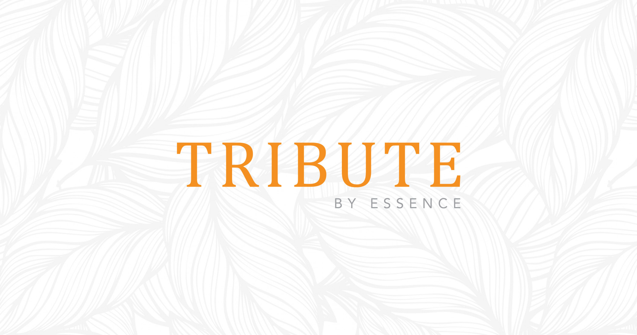 Tribute | MLA Canada